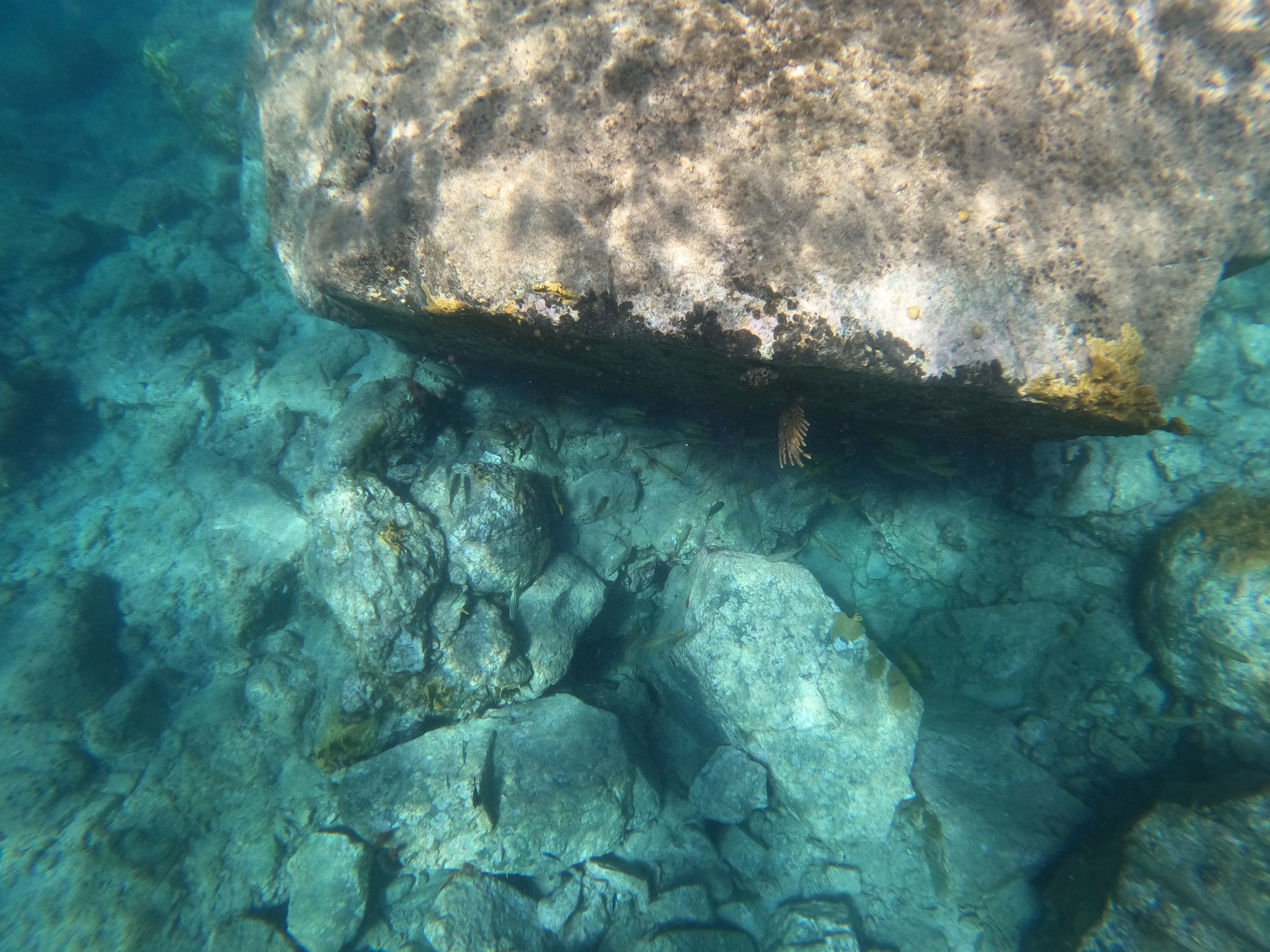 Wandering Keller’s Sail The BVI’s Part 1 – The Wandering Kellers